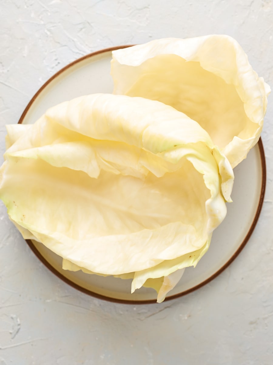 Lebanese Cabbage Rolls (Meat-Free) - Forkful of Plants